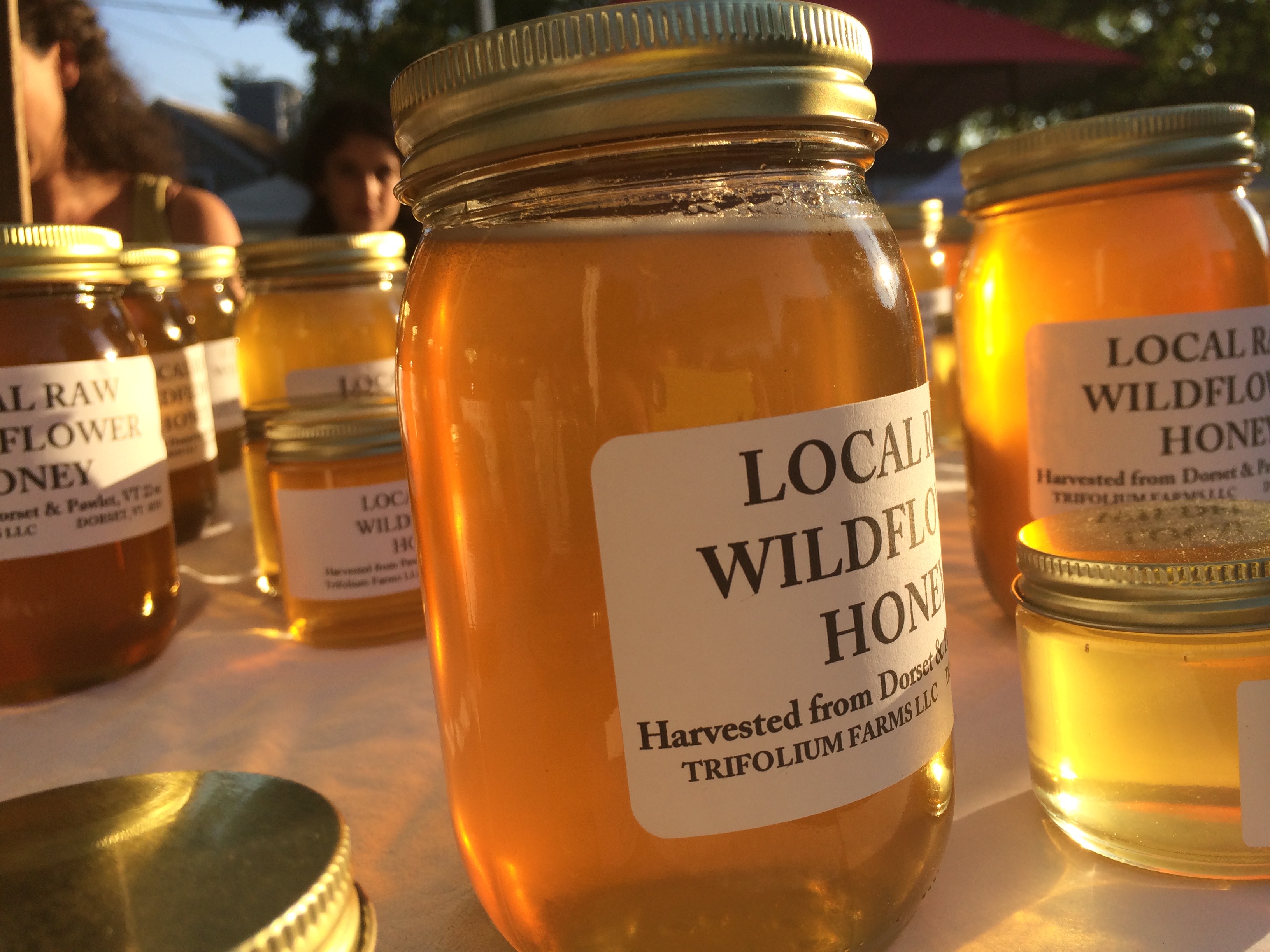 Agritourism Task Force: Open Farm Week Report | VT Farm to Plate