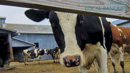 Planting a LiLi | VT Farm to Plate