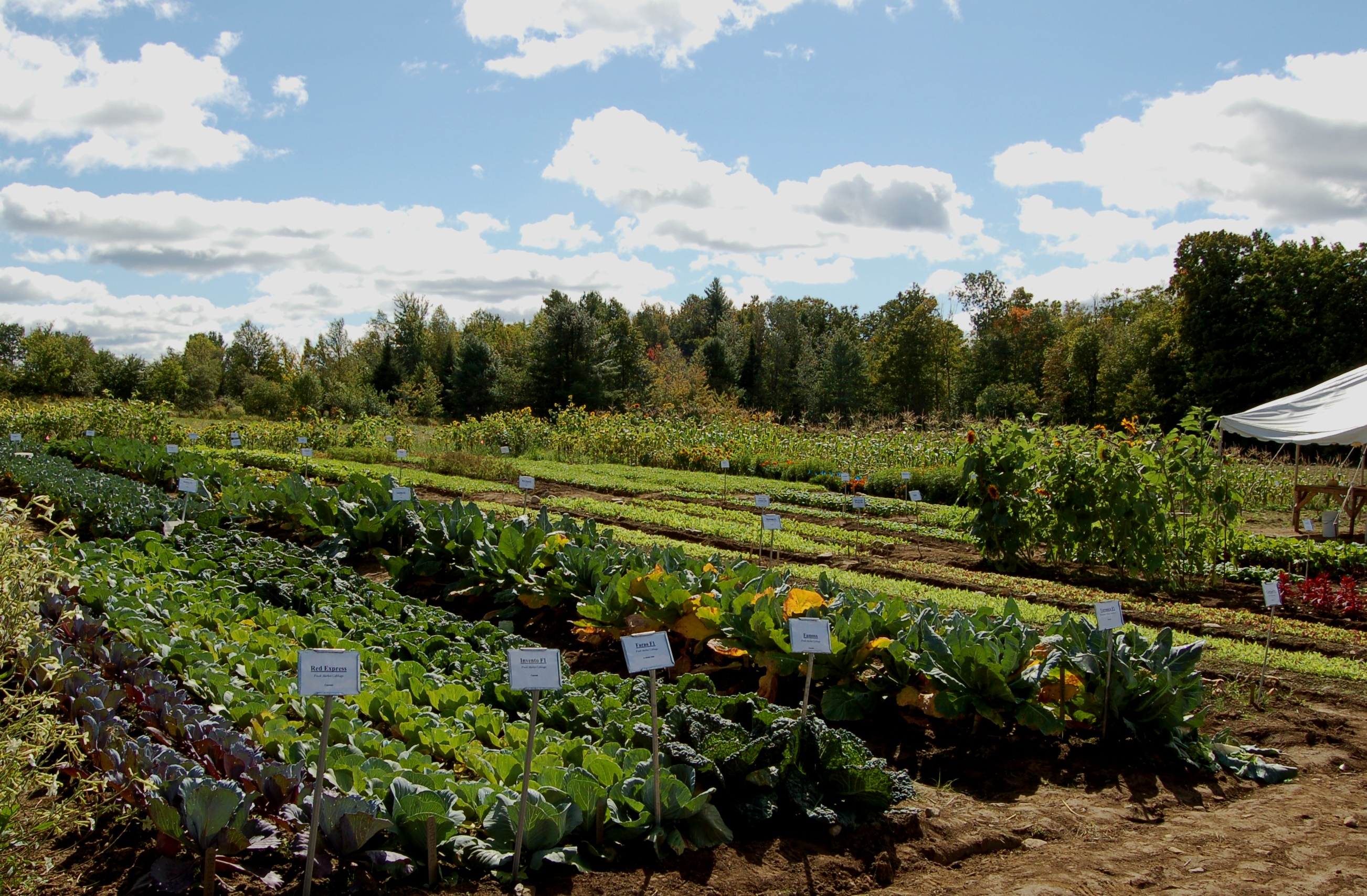 Financing Case Studies | VT Farm to Plate