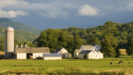 No One to Take Over the Farm | VT Farm to Plate