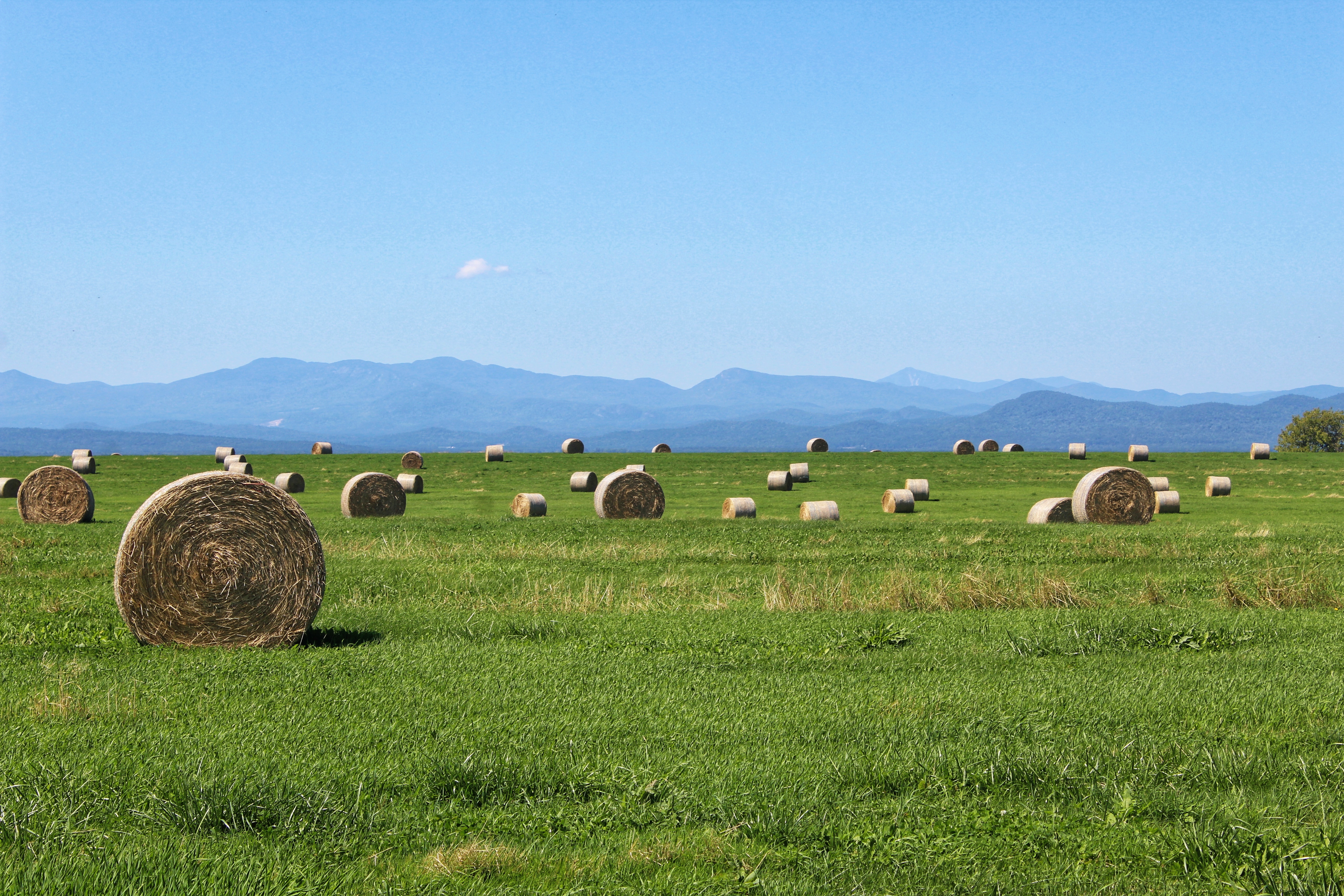 Farmers Can Now Resolve Contract and Labor Issues with Free Ag ...