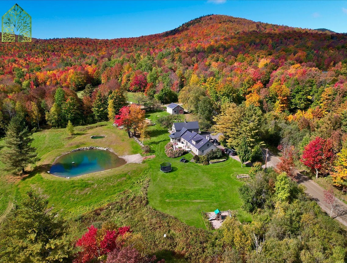 Moonlight Mountain Farm: Finding value in forests with log-grown ...