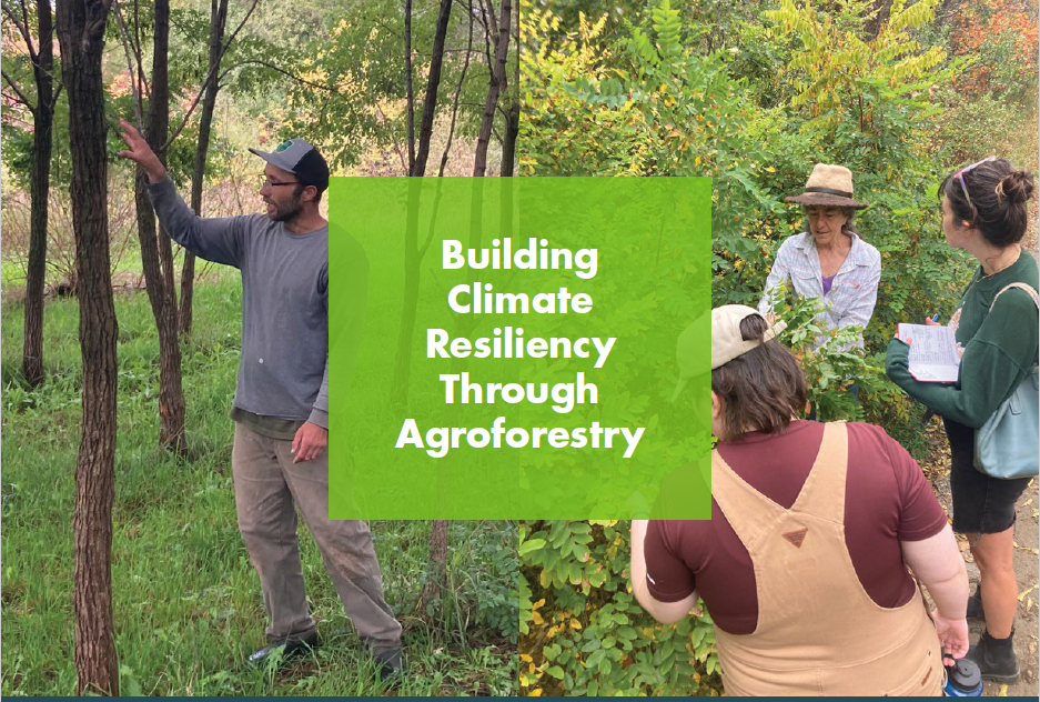 Building Climate Resiliency Through Agroforestry | VT Farm to Plate