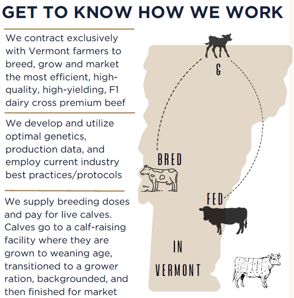 Beef on Dairy FY2024 Final Report | VT Farm to Plate